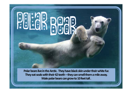 ARCTIC EXPLORERS RESOURCES LITERACY EYFS KS 1-2 ANIMALS ROLE PLAY ...