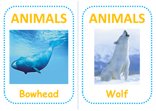 ARCTIC EXPLORERS RESOURCES LITERACY EYFS KS 1-2 ANIMALS ROLE PLAY ...