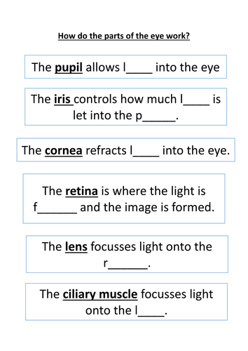 Parts of the Eye Worksheet | Teaching Resources