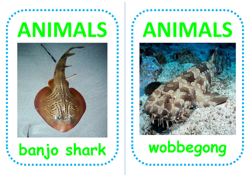 UNDER THE SEA / SEA LIFE TEACHING RESOURCE TEACHING RESOURCES ANIMALS ...