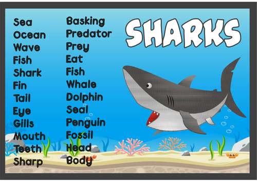 SHARKS TOPIC RESOURCES SCIENCE ANIMALS EYFS KS 1-2 SEALIFE | Teaching ...