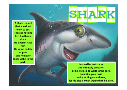 SHARKS TOPIC RESOURCES SCIENCE ANIMALS EYFS KS 1-2 SEALIFE | Teaching ...