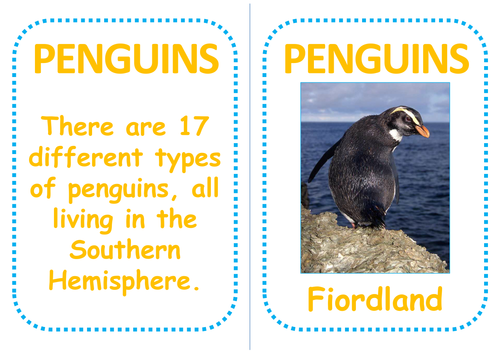 PENGUIN IN ANTARCTICA RESOURCES PACK - SCIENCE ANIMALS WINTER EYFS KS 1 ...