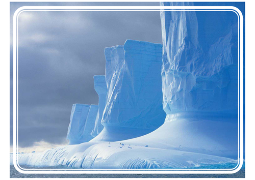 PENGUIN IN ANTARCTICA RESOURCES PACK - SCIENCE ANIMALS WINTER EYFS KS 1 ...