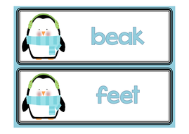 PENGUIN IN ANTARCTICA RESOURCES PACK - SCIENCE ANIMALS WINTER EYFS KS 1 ...