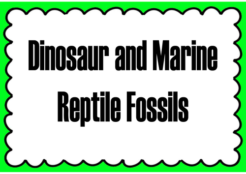 FOSSILS TEACHING RESOURCES KS1, KS2 SCIENCE HISTORY ANIMALS DINOSAURS ...