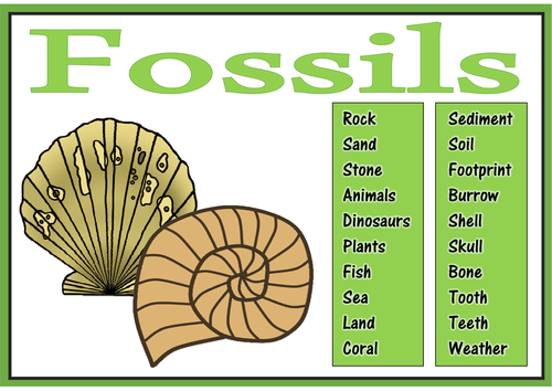 FOSSILS TEACHING RESOURCES KS1, KS2 SCIENCE HISTORY ANIMALS DINOSAURS ...