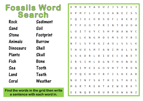 FOSSILS TEACHING RESOURCES KS1, KS2 SCIENCE HISTORY ANIMALS DINOSAURS ...