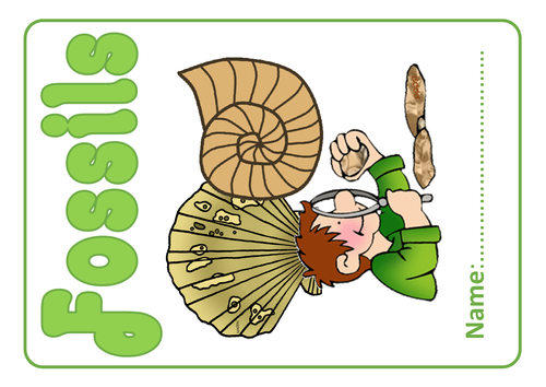 FOSSILS TEACHING RESOURCES KS1, KS2 SCIENCE HISTORY ANIMALS DINOSAURS ...