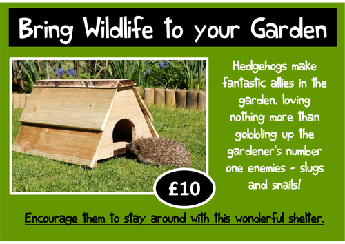 GARDEN CENTRE ROLE PLAY PLANTS FLOWERS TEACHING RESOURCES EYFS KEY ...