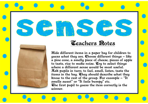 SENSES TEACHING RESOURCES EYFS KEY STAGE 1-2 SIGHT HEARING TOUCH TASTE ...
