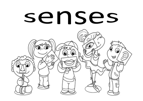 SENSES TEACHING RESOURCES EYFS KEY STAGE 1-2 SIGHT HEARING TOUCH TASTE ...
