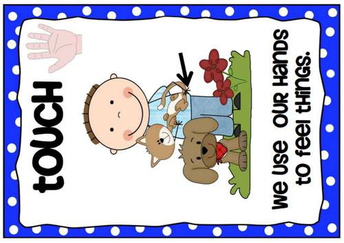 SENSES TEACHING RESOURCES EYFS KEY STAGE 1-2 SIGHT HEARING TOUCH TASTE ...