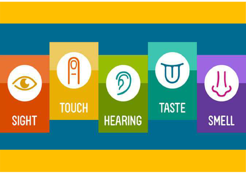 SENSES TEACHING RESOURCES EYFS KEY STAGE 1-2 SIGHT HEARING TOUCH TASTE ...