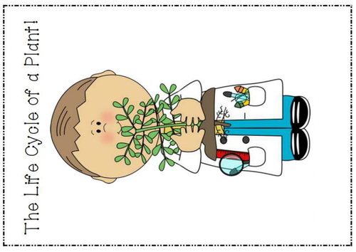 GROWING PLANTS SCIENCE TEACHING RESOURCES EARLY YEARS KEY STAGE 1-2 ...
