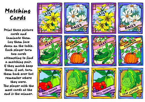 GROWING PLANTS SCIENCE TEACHING RESOURCES EARLY YEARS KEY STAGE 1-2 ...