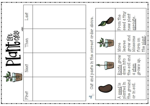 GROWING PLANTS SCIENCE TEACHING RESOURCES EARLY YEARS KEY STAGE 1-2 ...