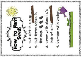 GROWING PLANTS SCIENCE TEACHING RESOURCES EARLY YEARS KEY STAGE 1-2 ...