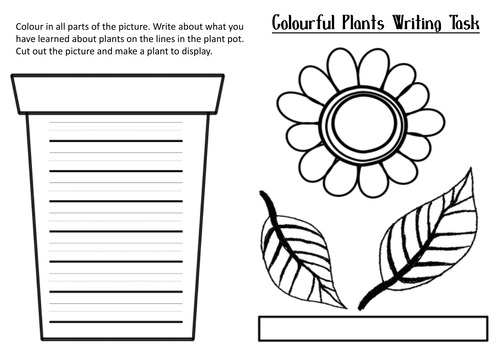 GROWING PLANTS SCIENCE TEACHING RESOURCES EARLY YEARS KEY STAGE 1-2 ...