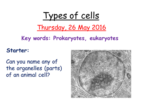 Whole Cells module- New AQA Biology GCSE (2018 EXAMS) | Teaching Resources