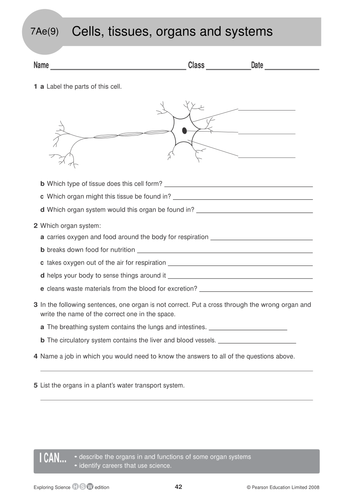New Curriculum Scheme of Work for Year 7's on Cells, Organs & Systems ...