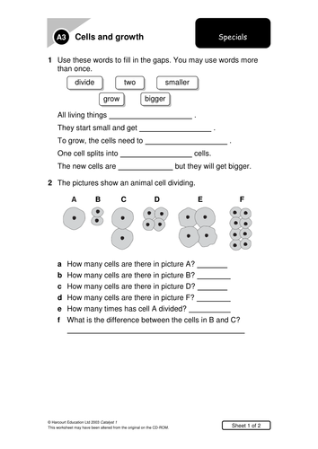 New Curriculum Scheme of Work for Year 7's on Cells, Organs & Systems ...