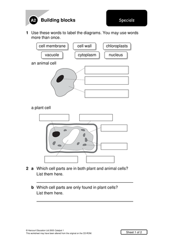 New Curriculum Scheme of Work for Year 7's on Cells, Organs & Systems ...
