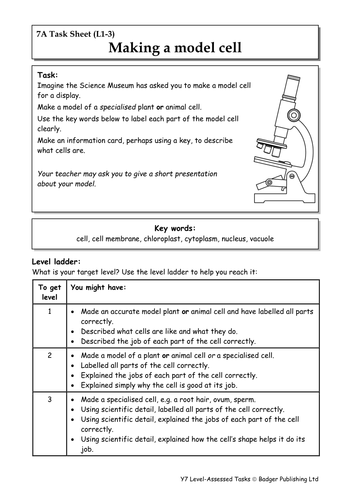 New Curriculum Scheme of Work for Year 7's on Cells, Organs & Systems ...