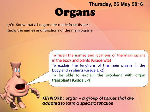 New Curriculum Scheme of Work for Year 7's on Cells, Organs & Systems ...