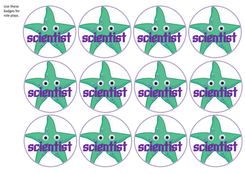 SEASIDE TOPIC AND ROLE PLAY RESOURCE KS1 EYFS SUMMER HOLIDAY ANIMALS ...