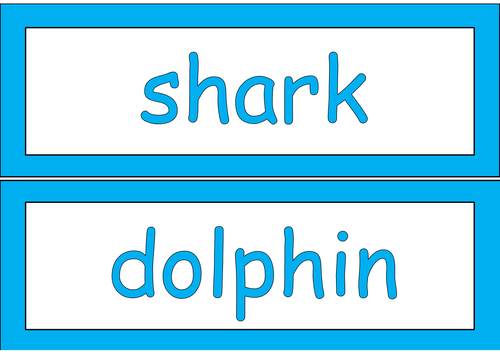 SEASIDE TOPIC AND ROLE PLAY RESOURCE KS1 EYFS SUMMER HOLIDAY ANIMALS ...