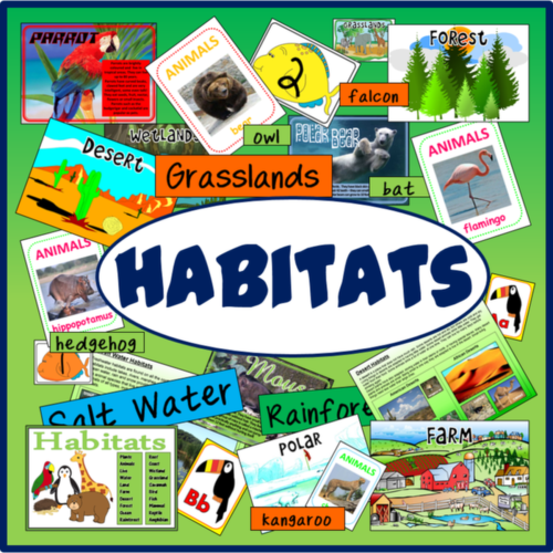 *SCIENCE BUNDLE* HABITATS, NOCTURNAL ANIMALS, RAINFORESTS, BIRDS - KEY ...