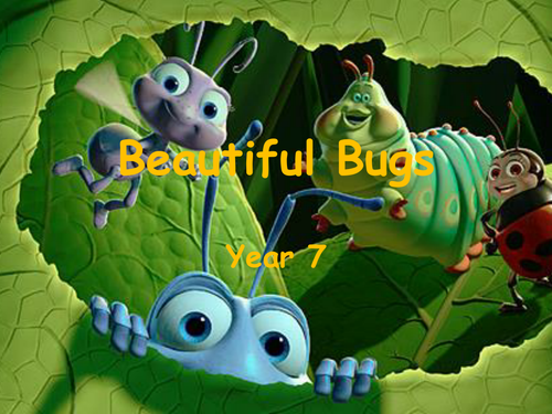 Beautiful Bugs | Teaching Resources