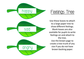 EMOTIONS FEELINGS TEACHING RESOURCES KS1, KS2, KS3 BEHAVIOUR DISPLAY ...