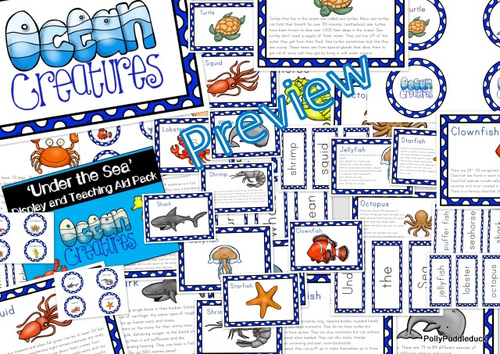 Under the Sea Display Pack, Fact Files and Flashcards | Teaching Resources