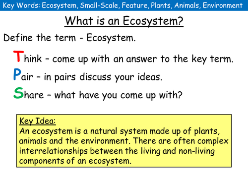 (New AQA) Ecosystems Lesson 1: What is an Ecosystem? | Teaching Resources