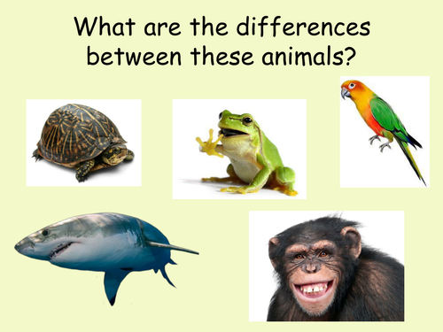 Species, Native and Introduced Species | Teaching Resources