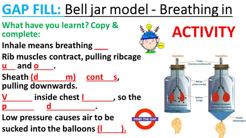 Breathing, inhaling and exhaling, and lung capacity. KS3. | Teaching ...
