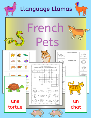 French Vocabulary Topics Bundle - Classroom, Clothing, Body, Farm, Pets ...