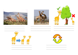 Natural Selection - cartoon strip | Teaching Resources