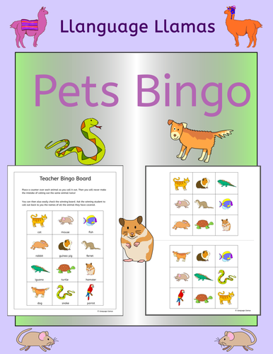 Bingo - Pets | Teaching Resources