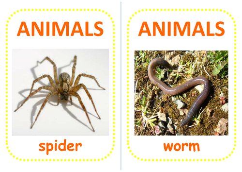 SOUTH AMERICA- RESOURCES LANGUAGE GEOGRAPHY FEATURES DISPLAY SPANISH ...