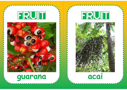 SOUTH AMERICA- RESOURCES LANGUAGE GEOGRAPHY FEATURES DISPLAY SPANISH ...