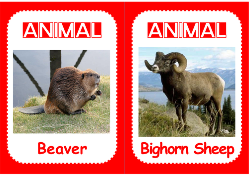 CANADA TEACHING RESOURCES GEOGRAPHY FRENCH LANGUAGE DIVERSITY LITERACY ...