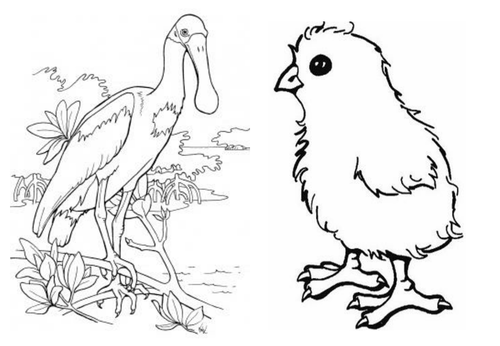 AFRICA -TEACHING RESOURCES CULTURE DIVERSITY LANGUAGE GEOGRAPHY EGYPT ...