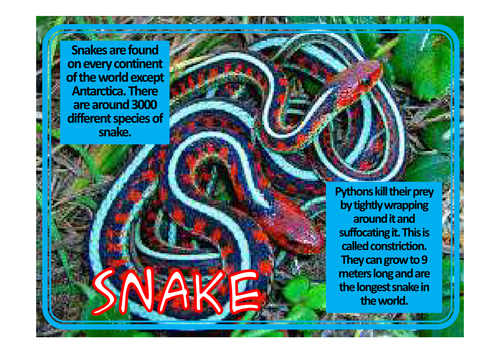 AFRICA -TEACHING RESOURCES CULTURE DIVERSITY LANGUAGE GEOGRAPHY EGYPT ...