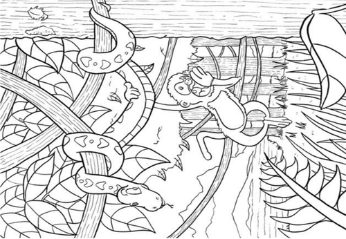 JUNGLE EXPLORERS RESOURCES SCIENCE KEY STAGE 1-2 EYFS RAINFOREST ...