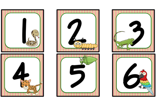 JUNGLE EXPLORERS RESOURCES SCIENCE KEY STAGE 1-2 EYFS RAINFOREST ...