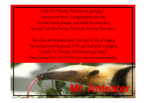 JUNGLE EXPLORERS RESOURCES SCIENCE KEY STAGE 1-2 EYFS RAINFOREST ...