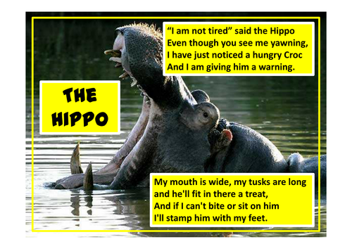 JUNGLE EXPLORERS RESOURCES SCIENCE KEY STAGE 1-2 EYFS RAINFOREST ...